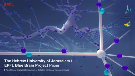 Neuronreduce A Brand New Tool To Simplify Complex Neuron Models Epfl