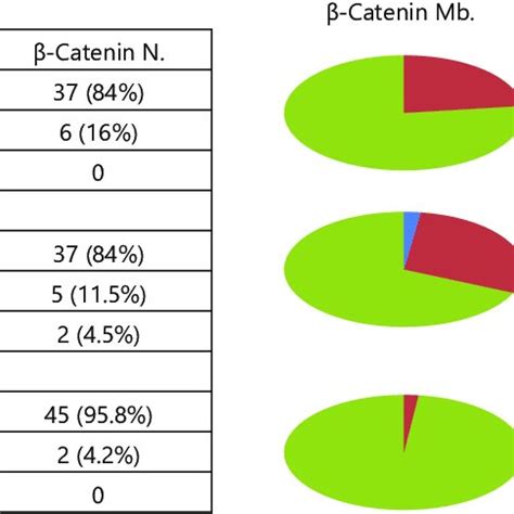 β Catenin expression in conjunctival melanocytic proliferations PAM Download Scientific