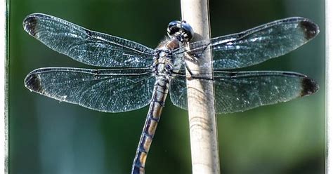 Catching Rays Album On Imgur