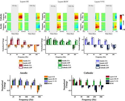 Effects Of The Frequency Of Stimulation On Lfp And Ecog In Layered Download Scientific Diagram