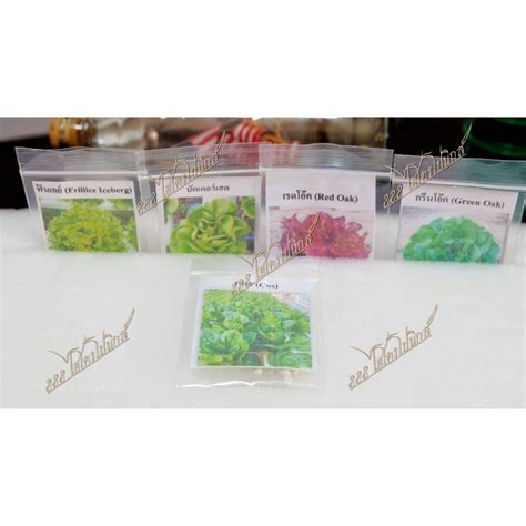 เมล็ดพันธุ์ผักสลัดแบบเคลือบ แบ่งซองละ 100 เมล็ด มีกรีนโอ๊ค เรดโอ๊ค บัต