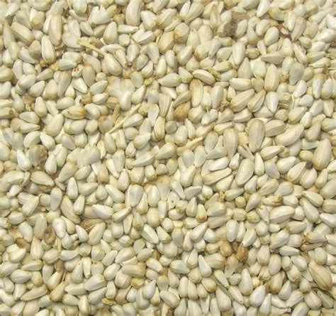 Welcome To Dehlvi Naturals