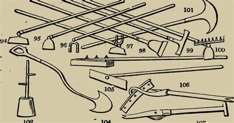 Soil Profile Wins Discover Earth S Vibrant Layers