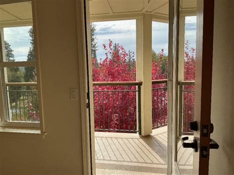Wolf Creek Lodge 1 Bedroom 1 Bath Apt Foundation For Intentional