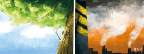 글로벌 현장에서 우리가 몽골에 나무를 심는 이유 서울경제