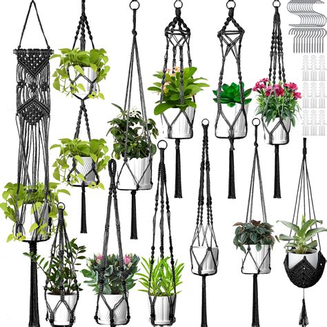 Hanging Plants Home Depot