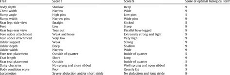 Description And Desirable Score Of The Linear Type Traits In
