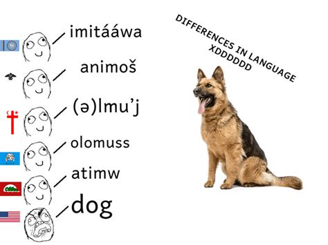 English Is Such A Weird Language R Linguisticshumor