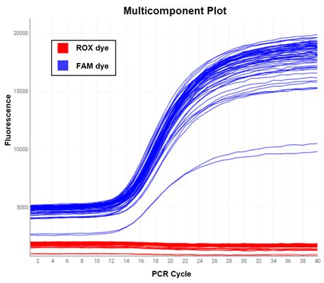 The Purpose Of Rox Reference Dye In Real Time Pcr Qpcr Behind The Bench