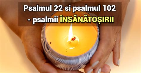 Psalmul 22 Si Psalmul 102 Psalmii Insanatosirii