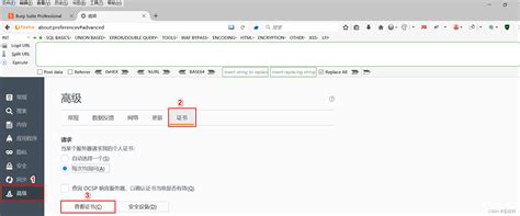 burpsuite的原理及代理的设置 burp代理设置 csdn博客