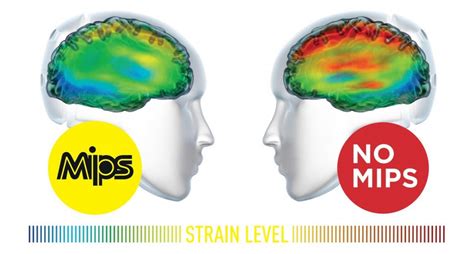 All You Need To Know About MIPS Road Cc