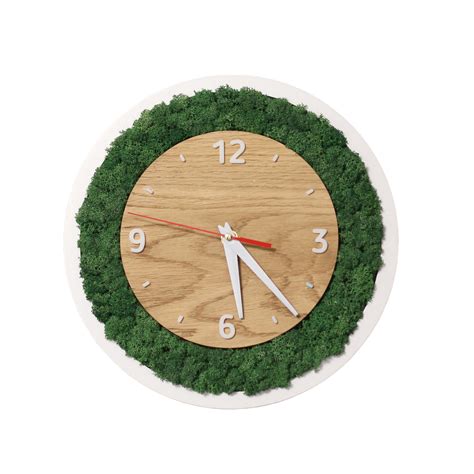 ᐉ Годинник настінний з мохом D 27 см • Краща ціна в Києві Україні • Купити в Епіцентр
