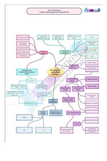 Ncert Mind Maps For Class 8th Science Edunovations Book Store