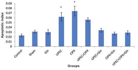 Histogram Of Apoptotic Cell Number Note Increased Number Of Apoptotic