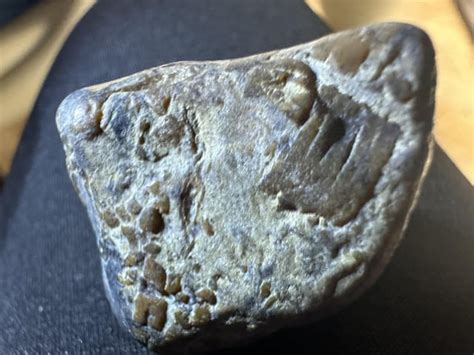 Is This Fragments Of Different Types Of Fossils R Fossils