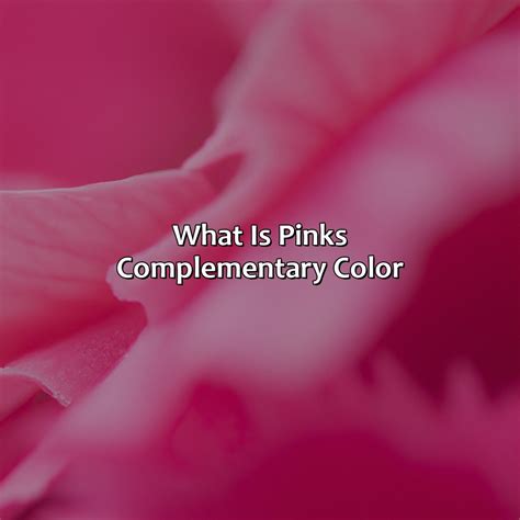 What Is Pinks Complementary Color