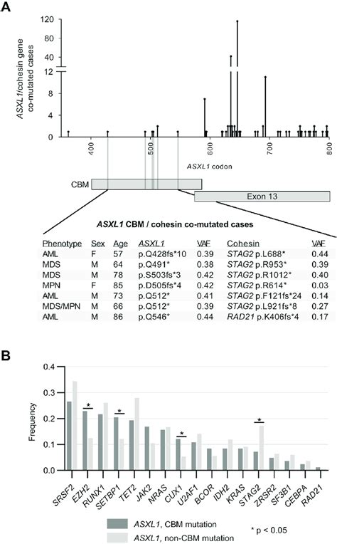 Asxl1 Cohesin Binding Motif Mutations A Lollipop Plot Of Asxl1 Download Scientific Diagram