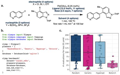 A Reaction Scheme Of The Pd Catalyzed Suzuki Miyaura Cross Coupling