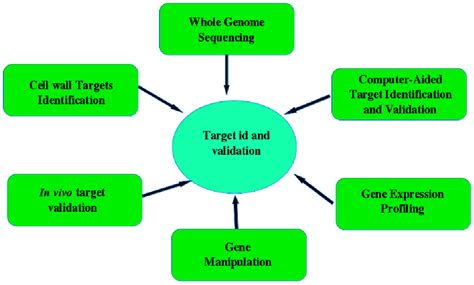 Schematic Representation Of Some Examples For Target Identification And