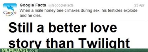 Til During Sex A Bees Testicles Will Explode Leaving The Penis
