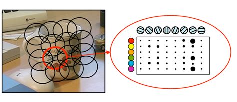 Simultaneous Encoding Of Orientation And Color In A Local Image Region