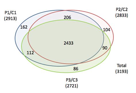 R How To Plot A 3 Set Proportional Venneuler Diagram Stack Overflow