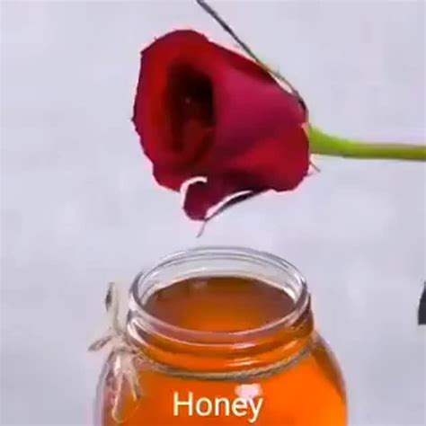 Bhanu Pratap Singh Sisodiya On Linkedin Wow