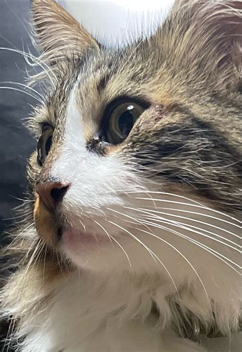 マキロン有難う 人生ごっこ改