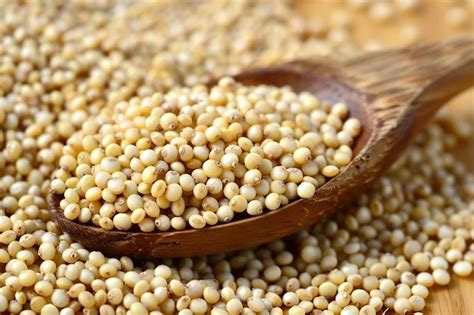 Sorghum Or Quinoa Gluten Cereal Grain Plant Seeds Premium Ai
