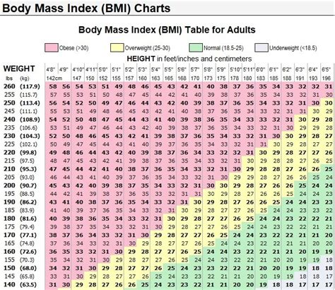 calculate bmi excel at tarah gordon blog