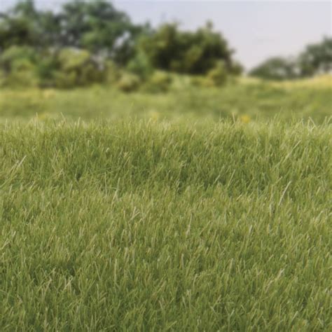 4mm Static Grass Medium Green Kitsu Models Hobby Shop