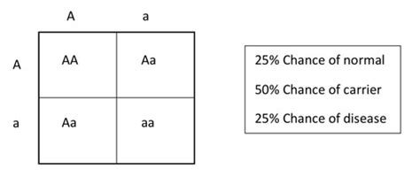 Lab Final Flashcards Quizlet