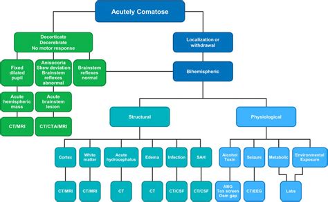 Initial Thoughts On Coma In The Icu This Algorithm Is A Simplification Download Scientific
