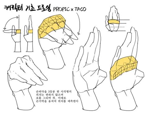 타코작가 on Twitter Tutoriel de dessin Croquis d anatomie Tutoriel dessin