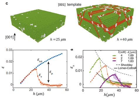 Dislocation Interactions During Plastic Relaxation Of Colloidal