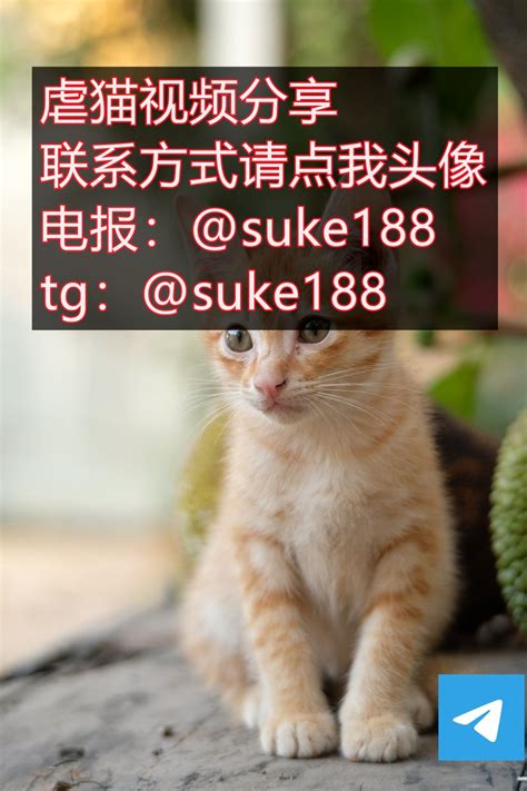 虐猫视频 电报联系suke188 On Twitter Rt Alextseng101 Vbuj Nksz Sjar 虐猫视频