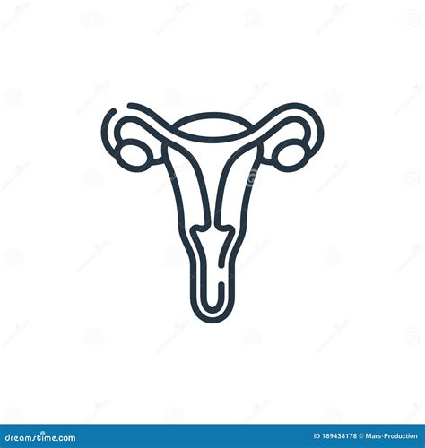 Fallopian Tubes Doctor Examining Fallopian Tubes Using Magnifying