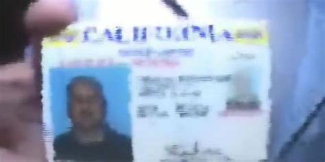 Bella Marie Wolf Midnight Prowl Bella Marie Wolf