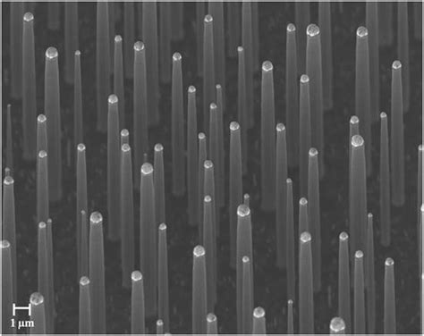 Semiconductor Nanowires Redwing Research Group