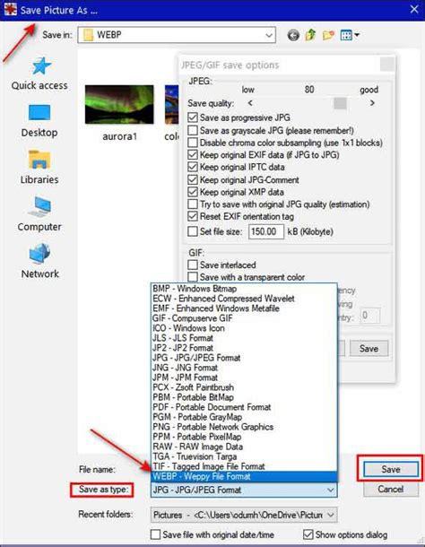 How To Open And Convert WebP On IrfanView And Alternative