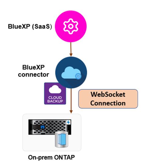 Bluexp Backup And Recovery Feature Blog March 23 Updates Netapp