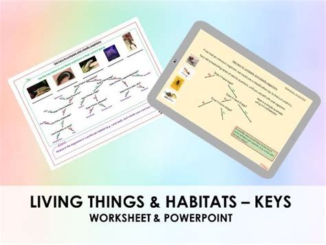 Branching Keys Living Things And Habitats Year 4 Science Ks2 Teaching Resources
