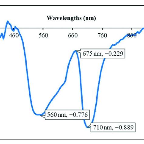 Correlation Coefficients Between Fuji Apple Leaf Reflectance At Each Download Scientific