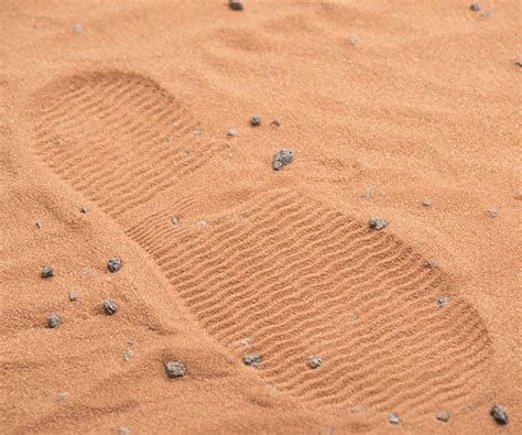 Sex On Mars May Create New Human Subspecies Scientists Theorize