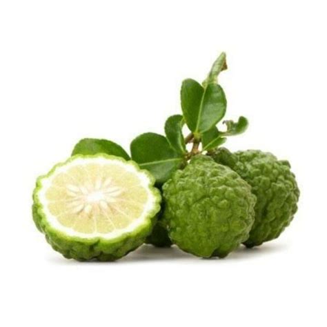 Jual Limau Kuit Jeruk Purut Khas Banjar Berat 1000 Gram Shopee Indonesia