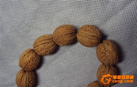 山核桃满天星 山核桃皮 满天星控 大山谷图库