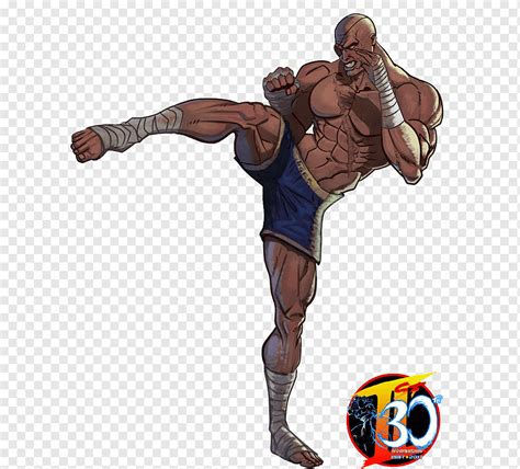 스트리트 파이터 Ii 세계 전사 스트리트 파이터 Iv 스트리트 파이터 Ii 챔피언 에디션 사가 트 전투기 슈퍼 히어로