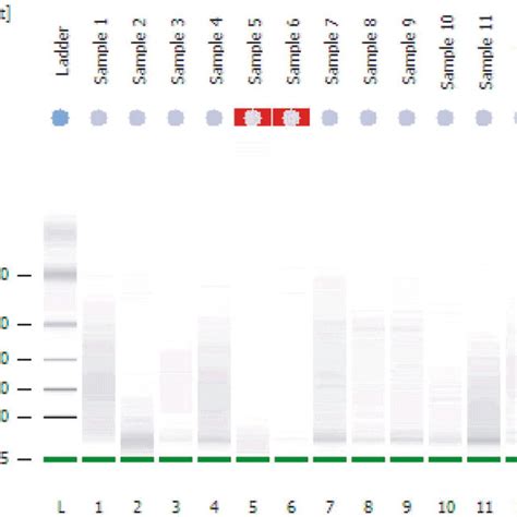 Electropherogram Provided By The Agilent 2100 Bioanalyzer For The