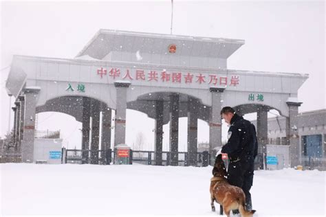 爬冰卧雪战寒冬—吉木乃边检站警犬冬季练兵正当时 搜狐大视野 搜狐新闻